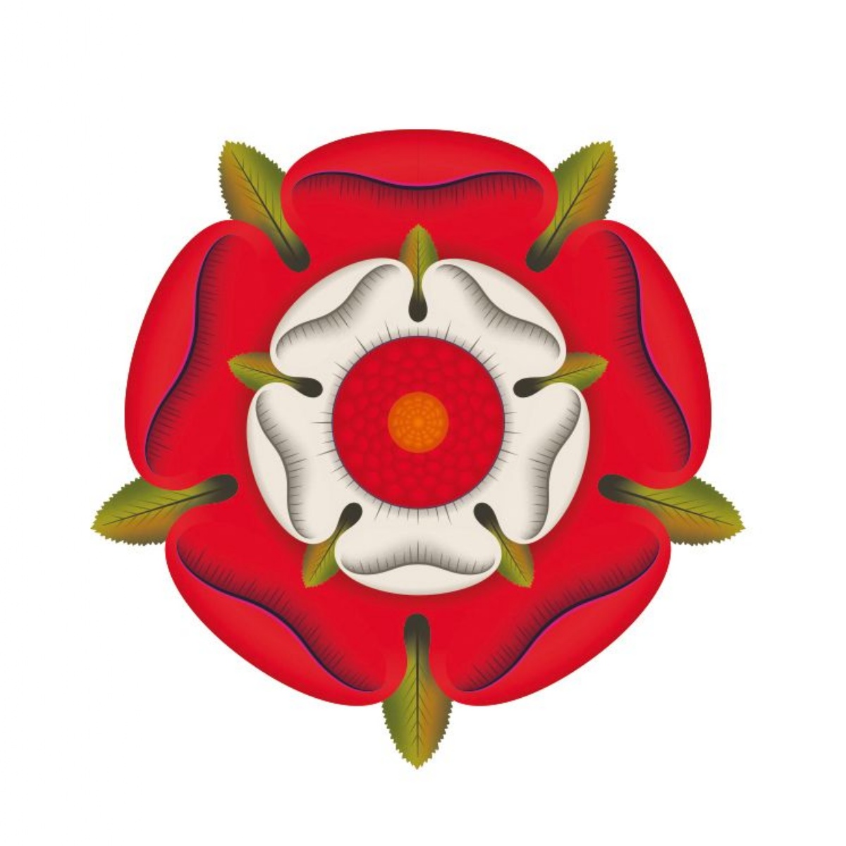 Sutton Coldfield Grammar School for Girls - Regional Netball Finals!